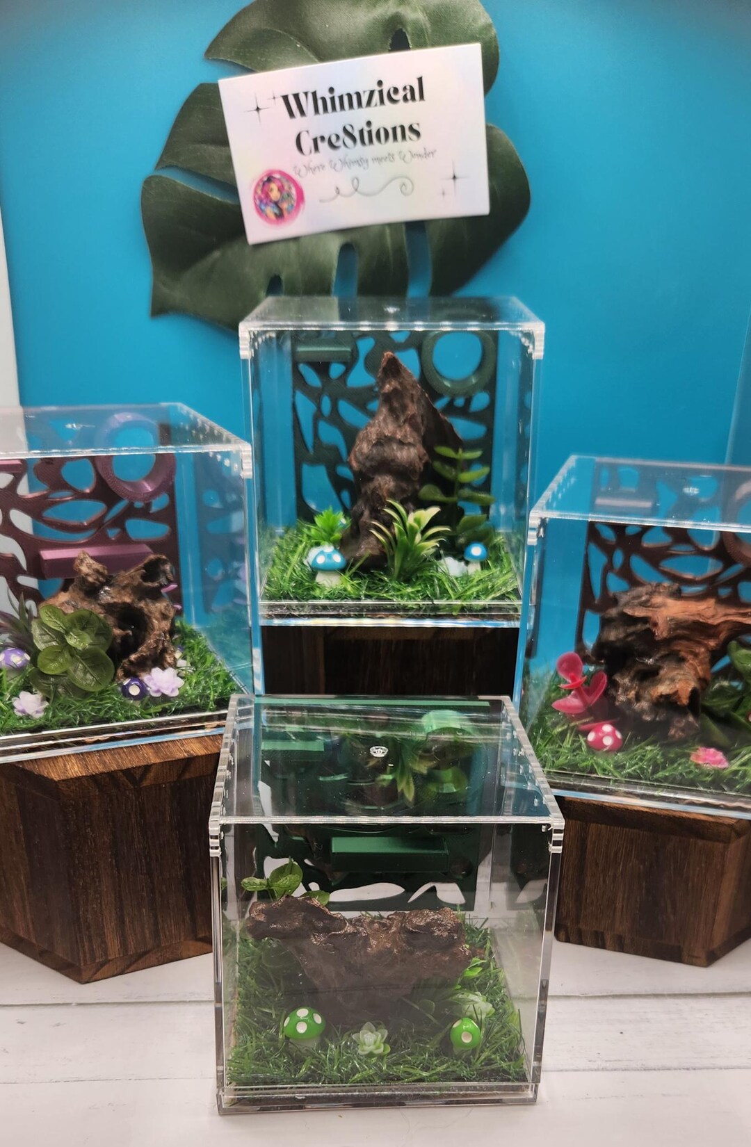 Mystic Meadow Series - Jumping Spider Enclosure – 3.3x3.3x3.3 (sold ...