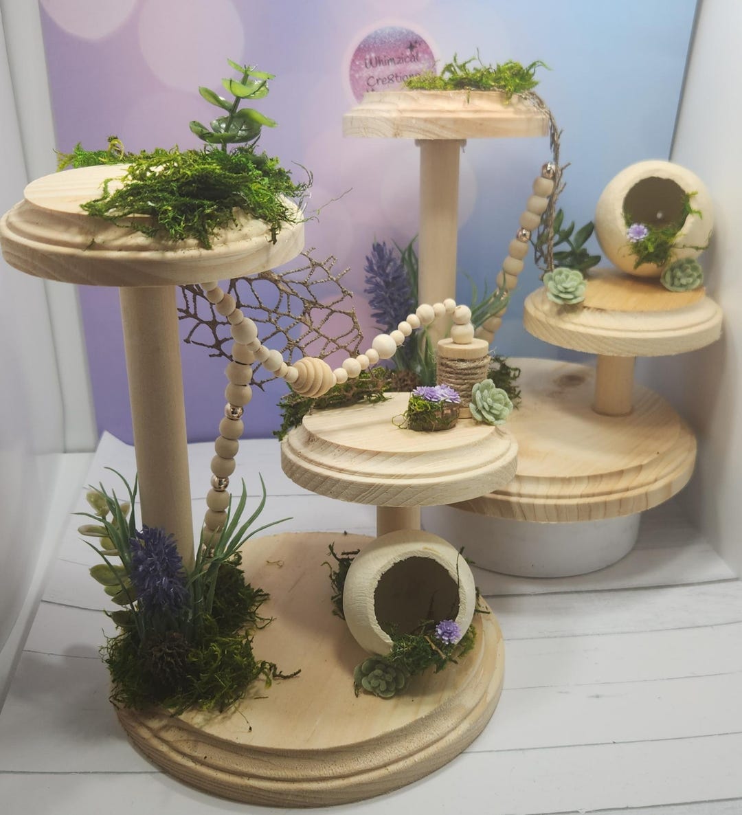 Jumping Spider Playground - Whispering Willows Series - "willow Breeze ...