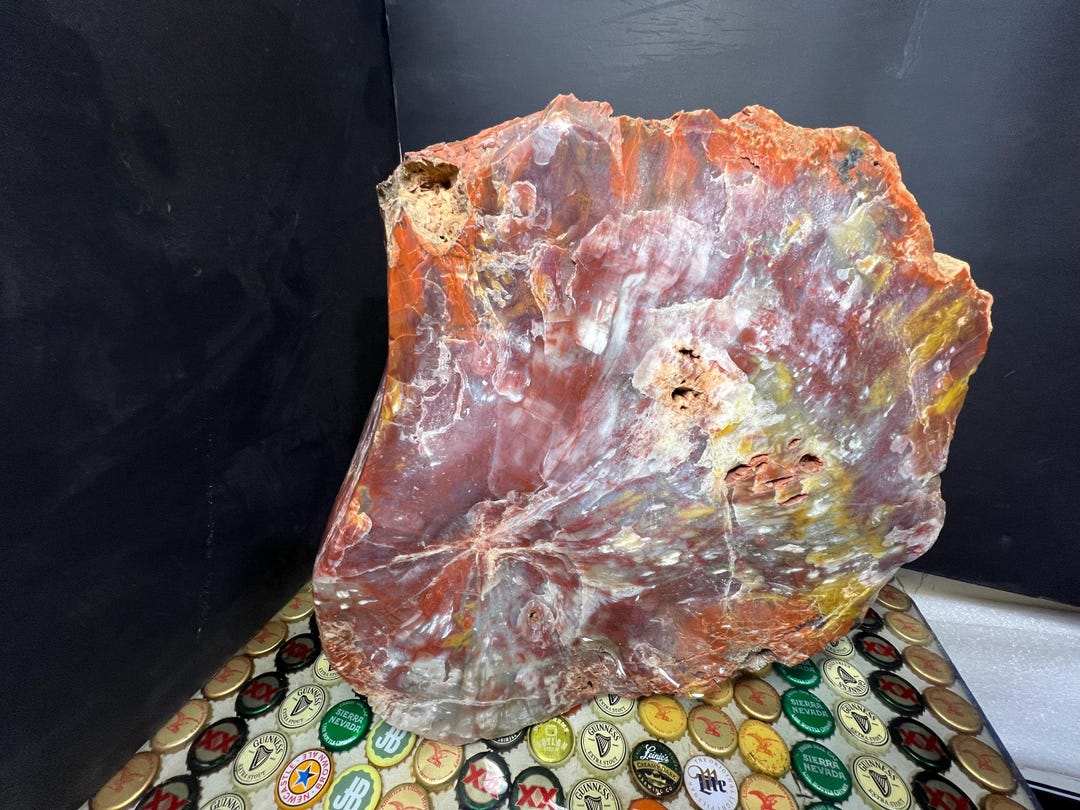 Arizona Agatized Petrified Wood - Etsy