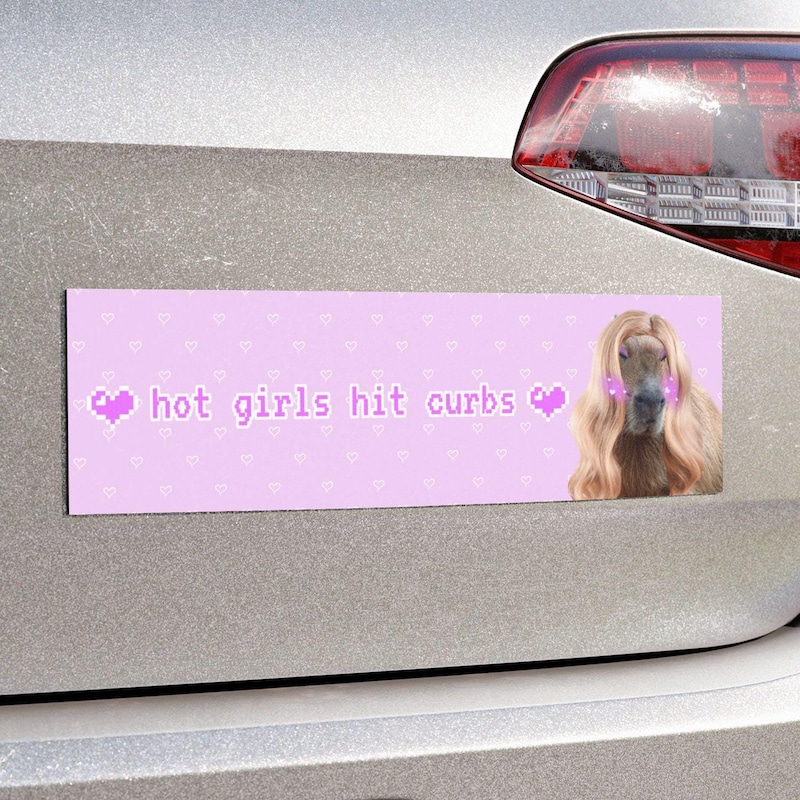 Hot Girls Hit Curb Sticker - Etsy