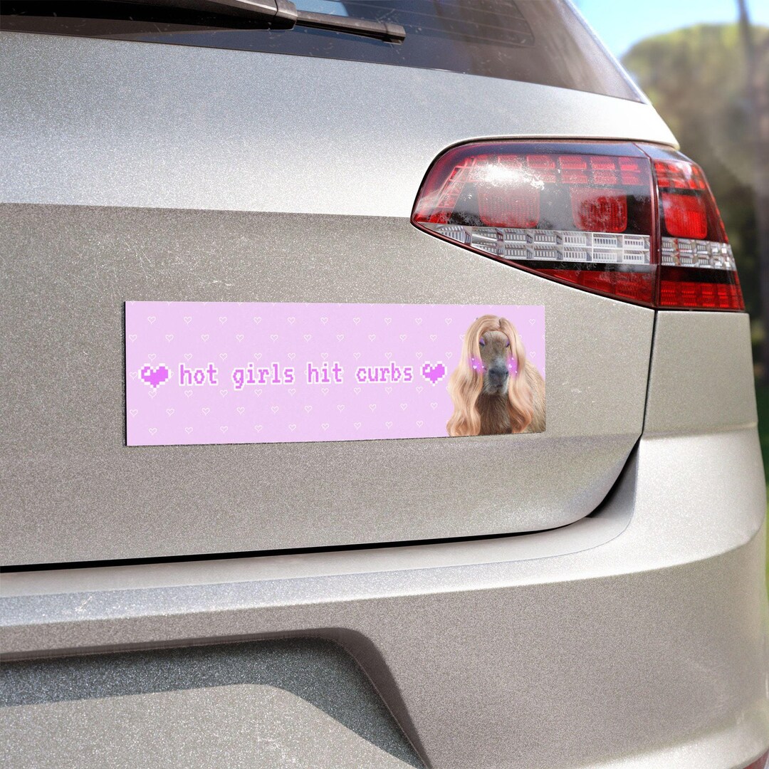 Hot Girls Hit Curbs Bumper Sticker Magnet | Yassified Girly Capybara ...