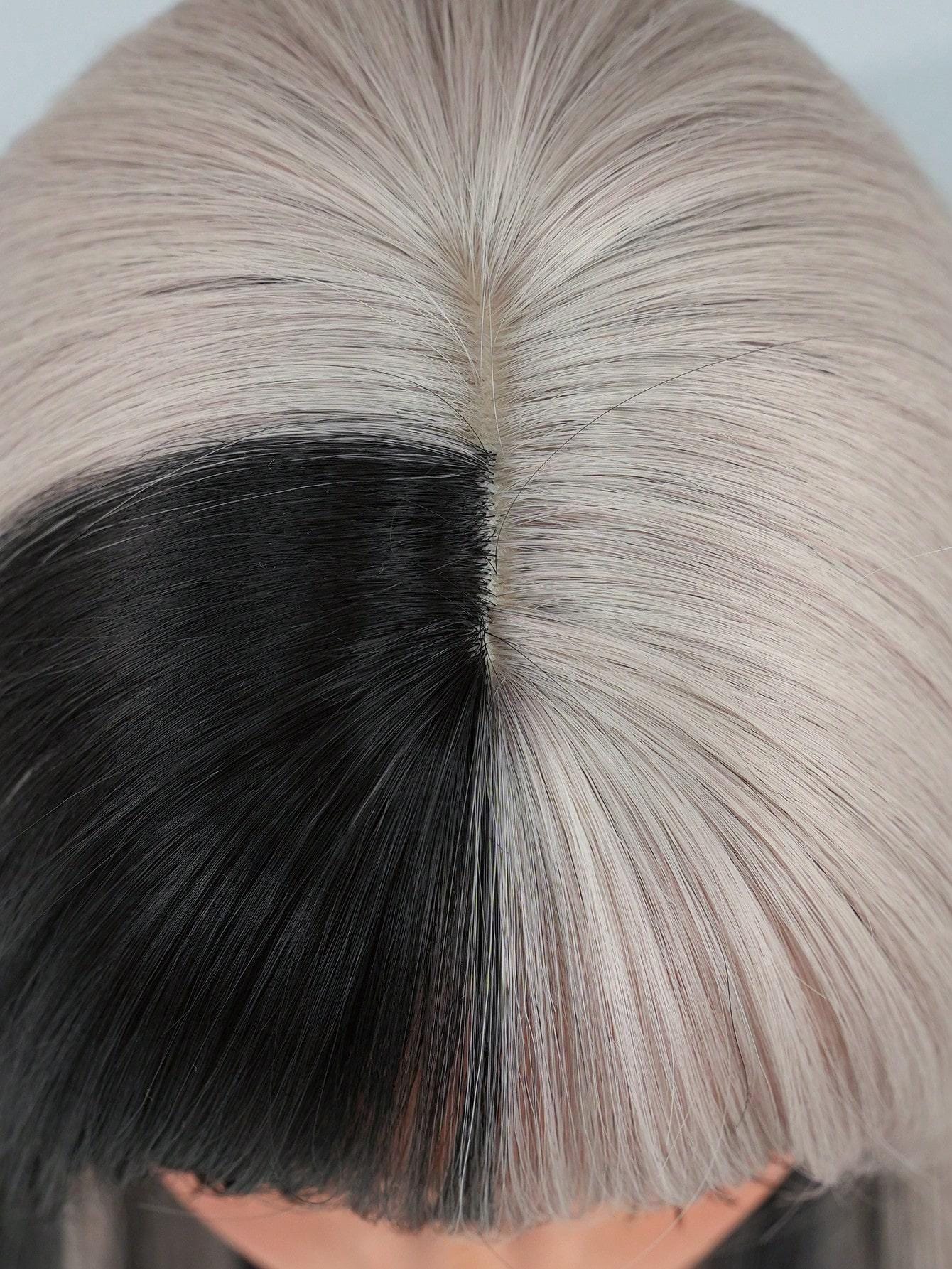 Highlights Silver Wig Soft Long Straight Wig Silver Mixed Black Wig ...