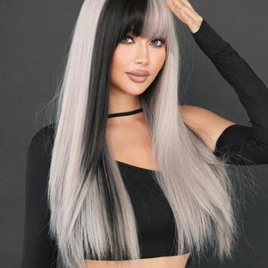 Highlights Silver Wig Soft Long Straight Wig Silver Mixed Black Wig ...
