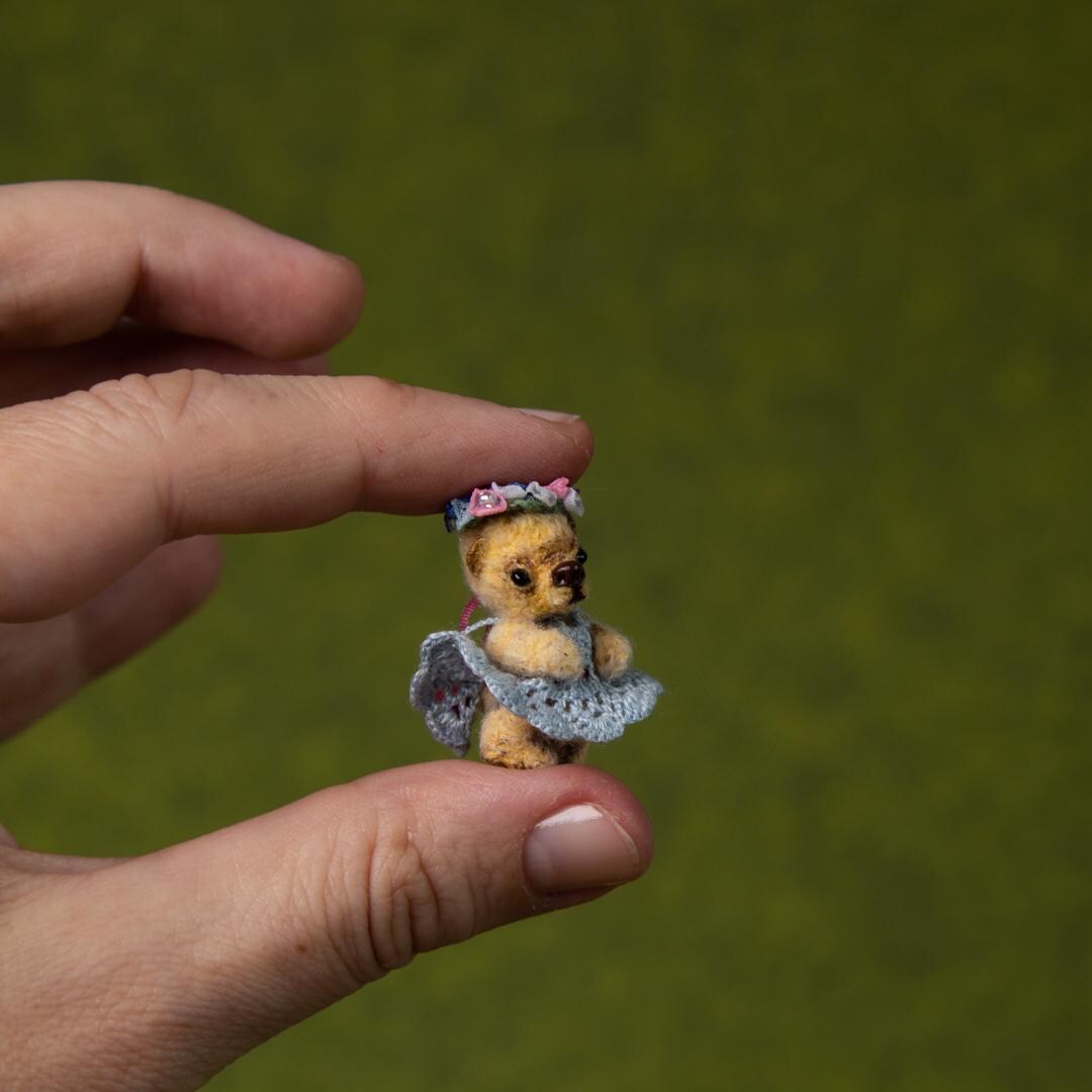 Teddy, Mini Bear, Miniaturebear, Teddybear, Miniteddy, Miniature Teddy ...