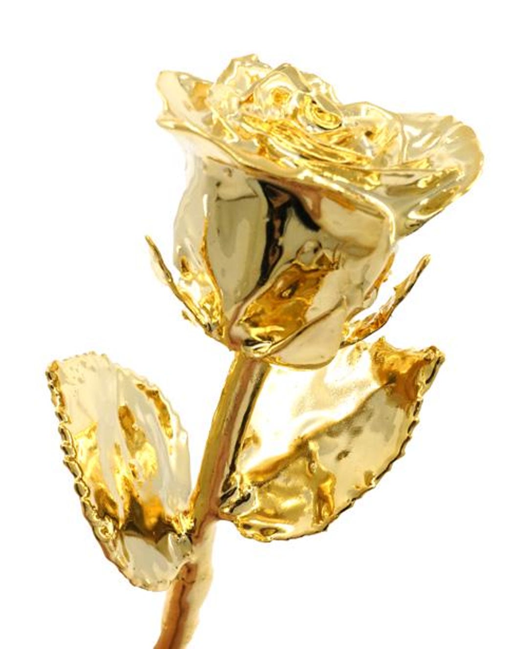 Top Quality Real Rose Dipped in 24K Gold *includes Gift Box+glass Stand ...