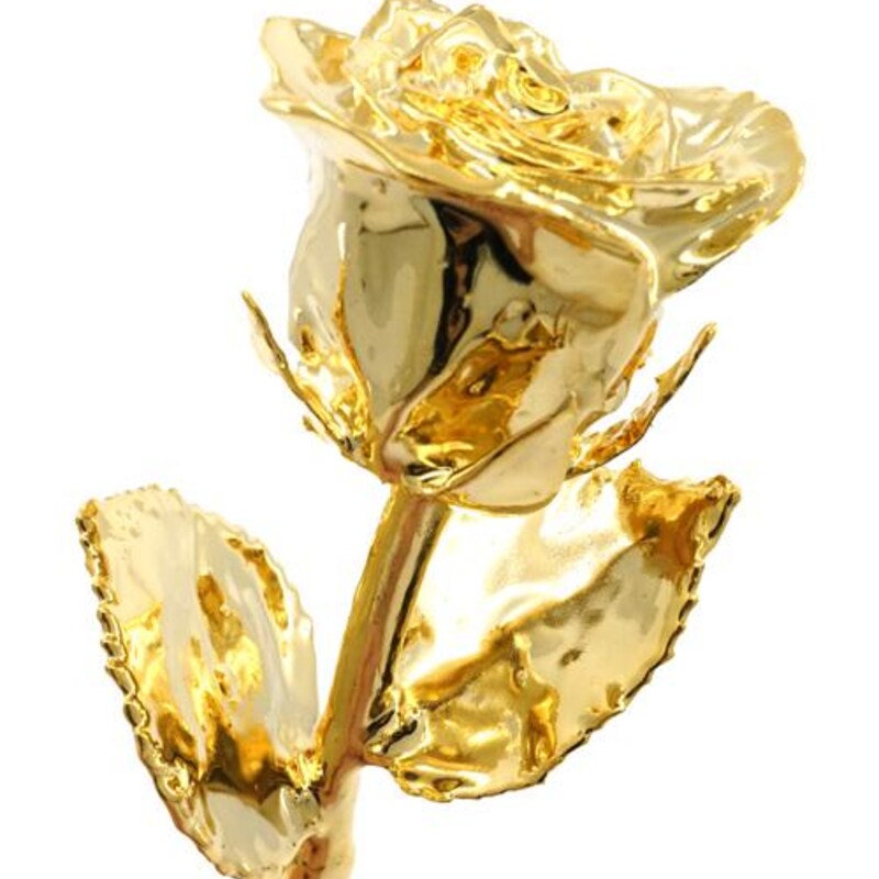 24k Gold Dipped - Etsy