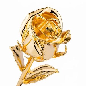 Top Quality Real Rose Dipped in 24K Gold *includes Gift Box+glass Stand ...
