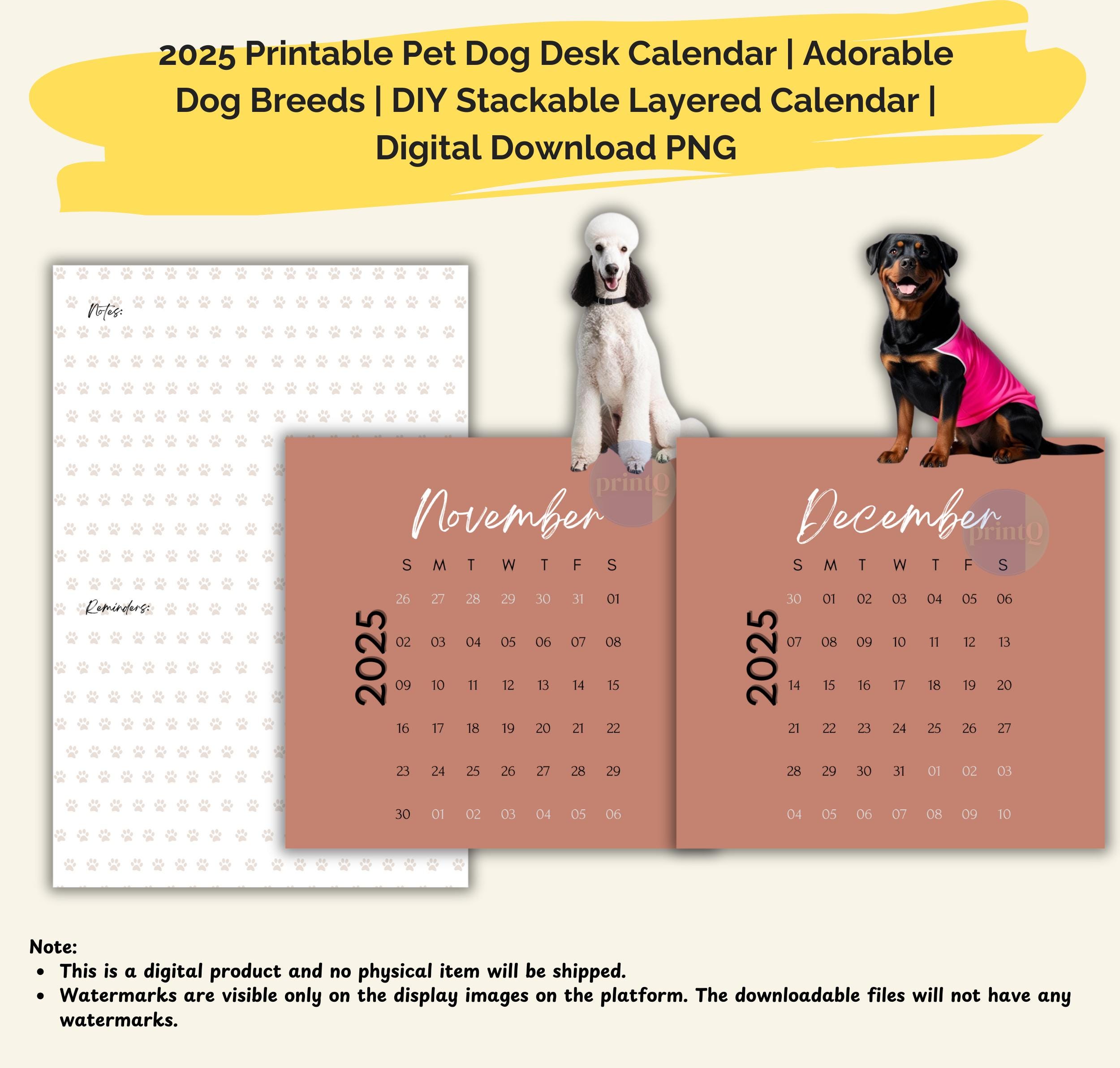2025 Printable Pet Dog Desk Calendar Adorable Dog Breeds DIY Stackable ...