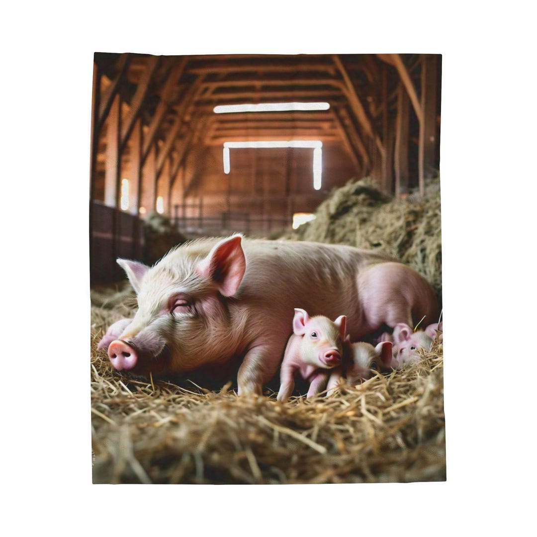 Momma Pig and Baby Pigs in A Barn Velveteen Plush Blanket - Etsy