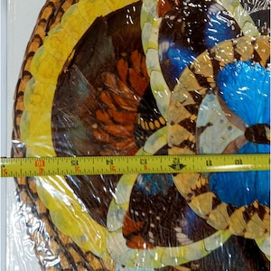 Butterfly Wing Folk Art Floral Geometric Design Collage OOAK 17 X 17 ...