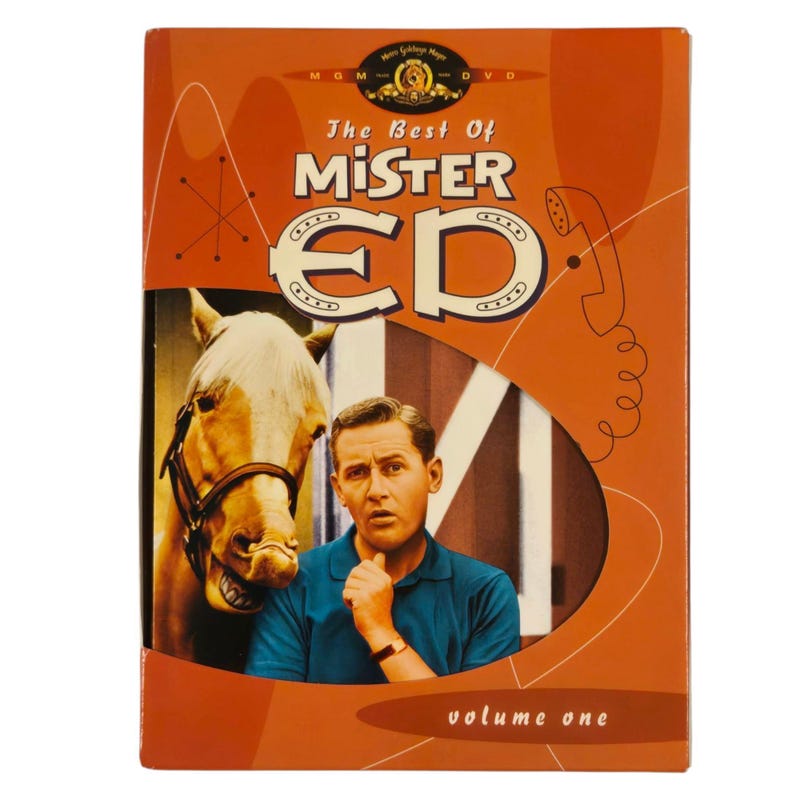 Mr Ed - Etsy