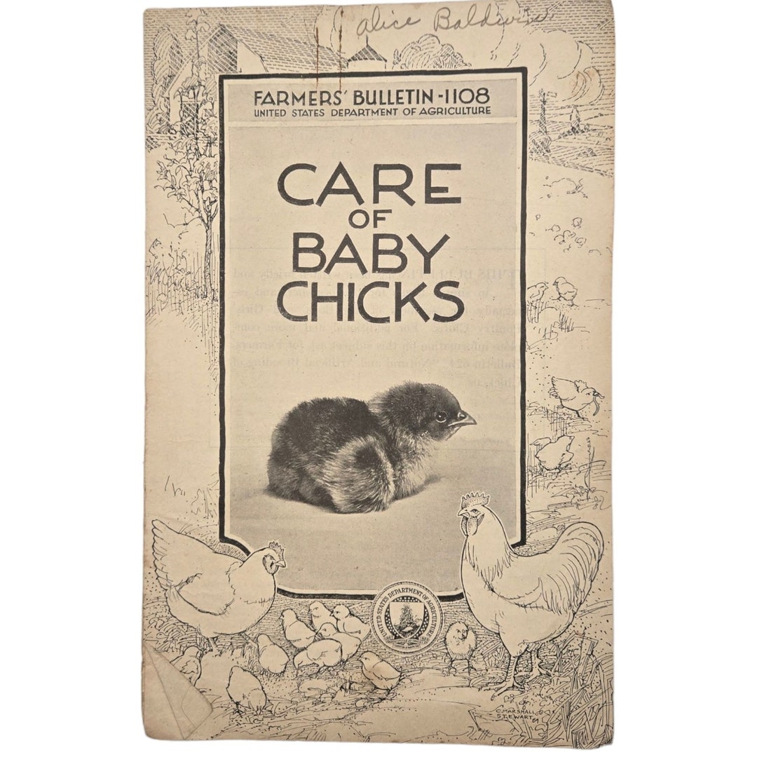 Care of Baby Chicks 1920s Agriculture Booklet Farm Collectible Antique ...