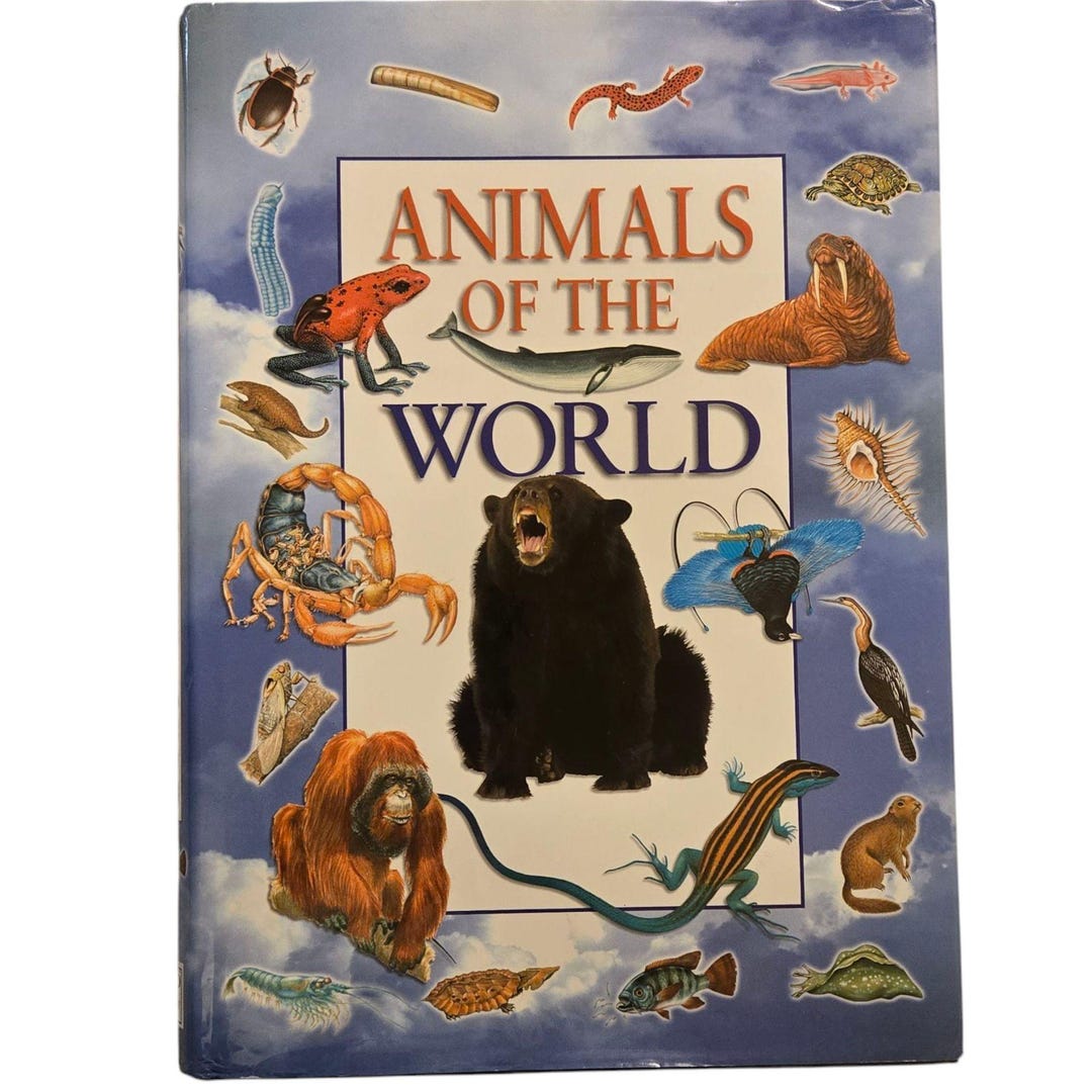 Animals of the World Illustrated Book Insects Bugs Reptiles Educational ...