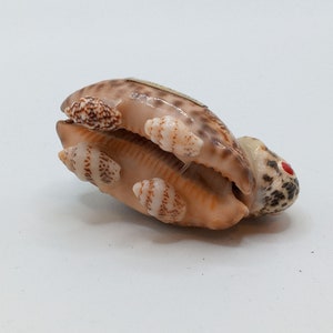 Seashell Bunny Rabbit Figurine Sea Shell Collectible Folk Art Vintage ...