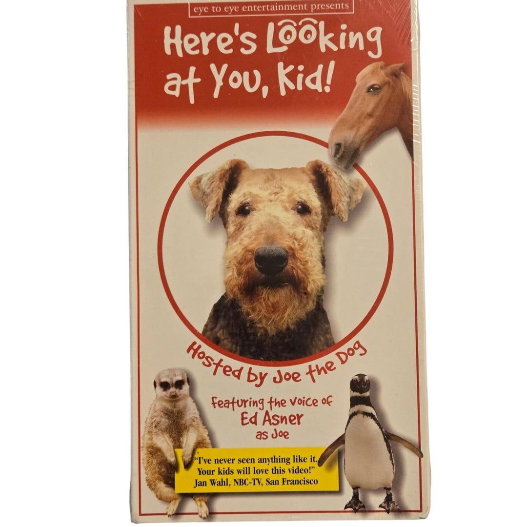 Heres Looking at You Kid VHS Tape Joe the Dog Ed Asner Airedale Terrier ...