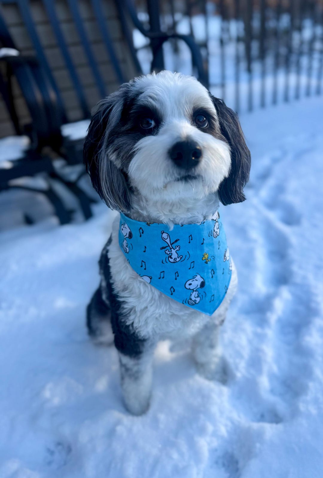 Homemade Reversible Snoopy Snap-on Bandana for Cats and Dogs - Etsy