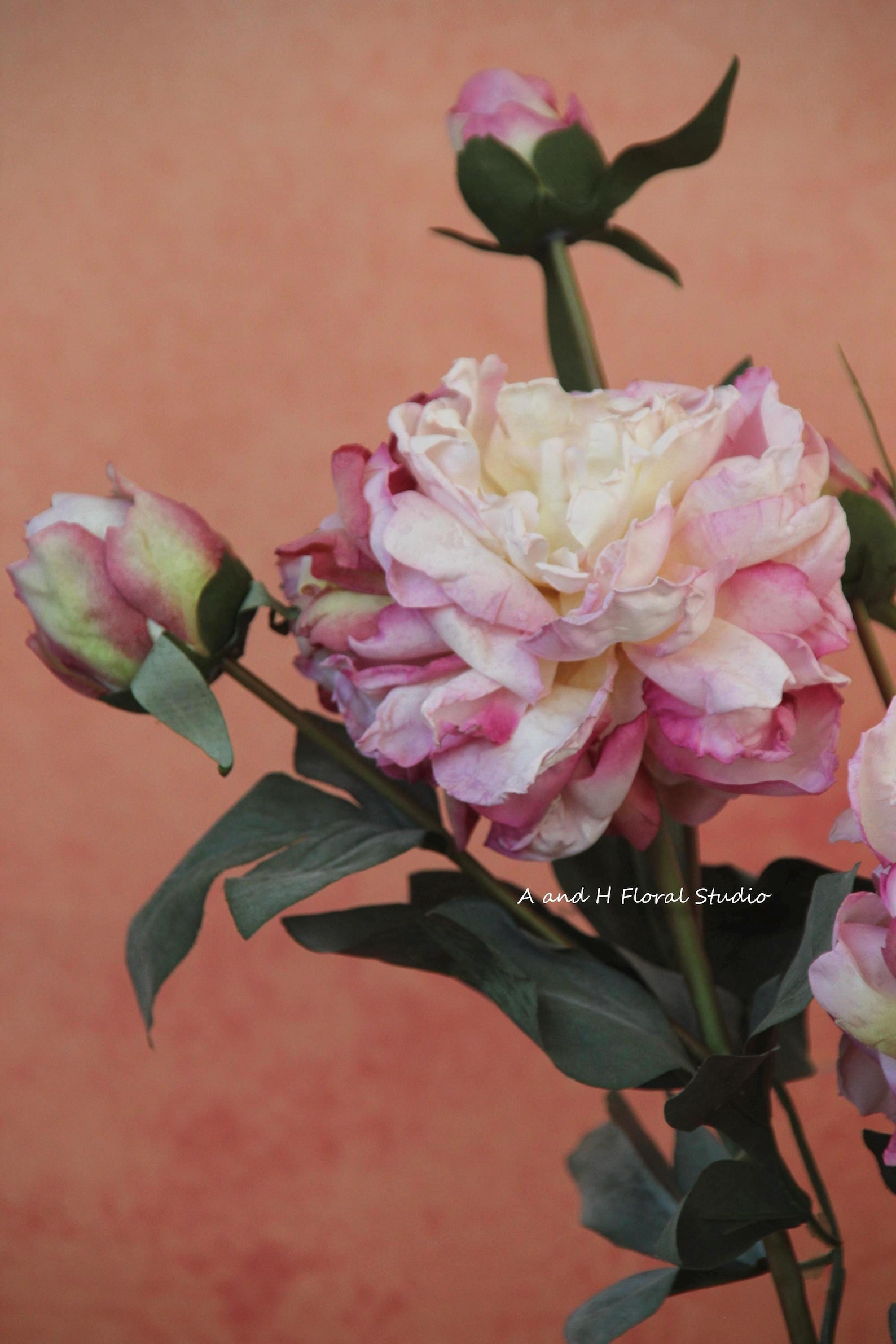Peony | Artificial Flower | Top Notch | High Quality | Home Décor ...