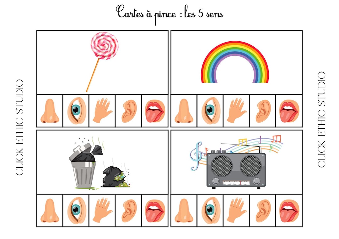 The Five Senses Cards - the Five Senses - Worksheets Preschool - Taste ...