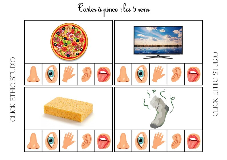 The Five Senses Cards - the Five Senses - Worksheets Preschool - Taste ...