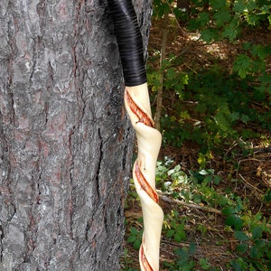 Handmade Vine Twisted Walking Stick, White Birch Wood With Fine Finish ...