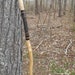 Hand Carved Walking Stick, Birch Wood Hiking Staff With Leather Wrap ...