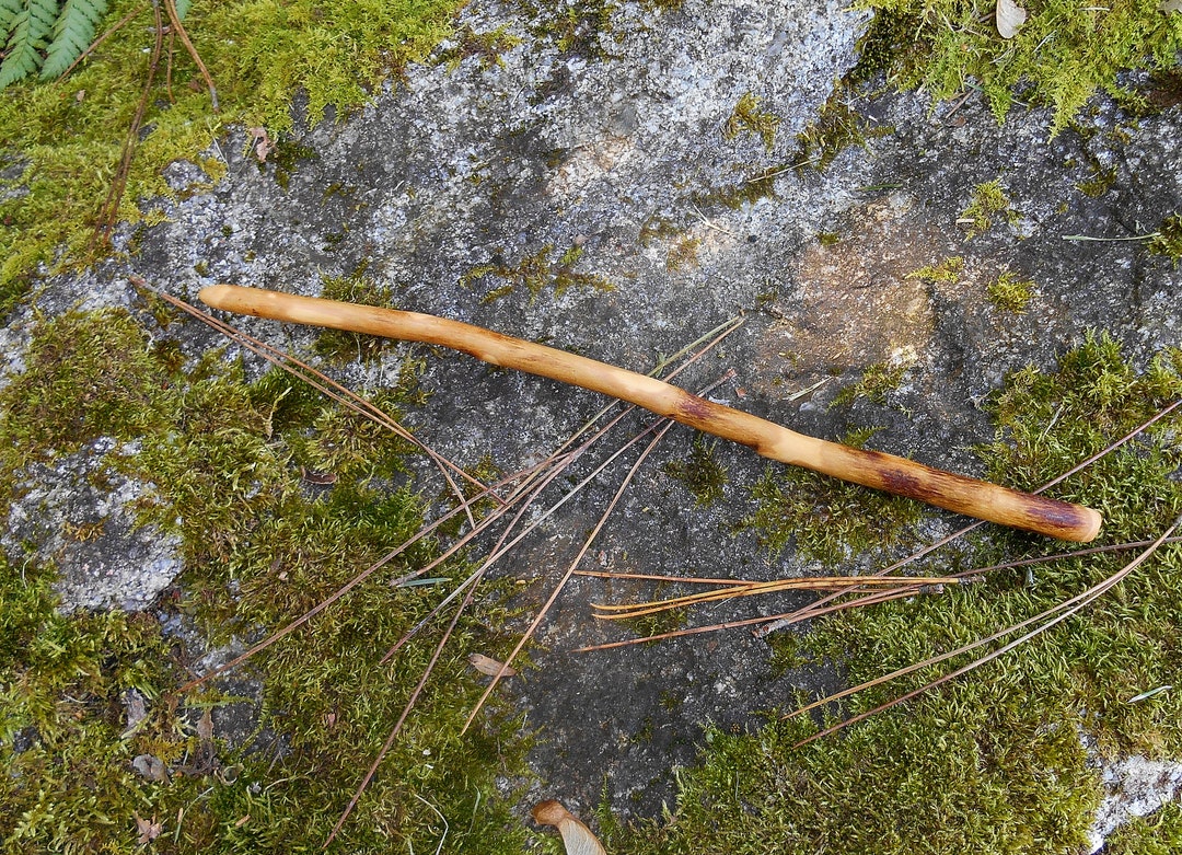 Wild Apple Wood Wand - Etsy