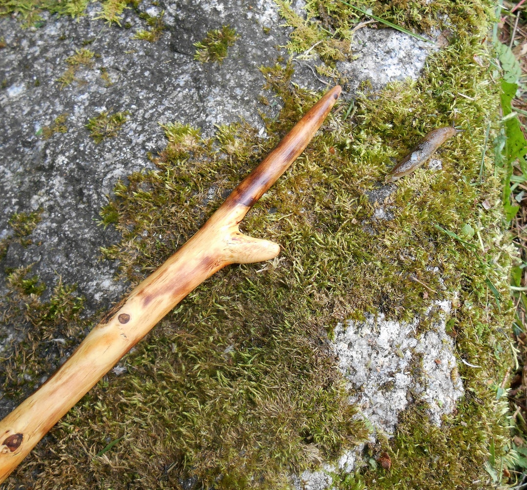 Wild Apple Wood Wand, Love Magic, Healing Wand, Handmade One at a Time ...