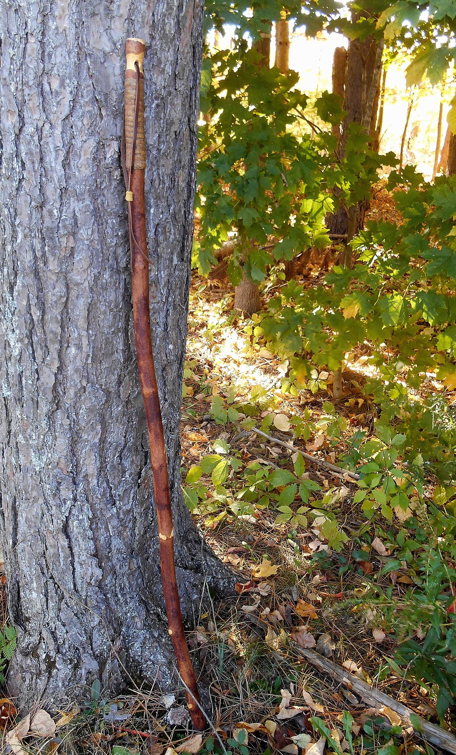 Wood Walking Stick: Bark Grip, Leather Lanyard, Spruce Hiking Staff - Etsy