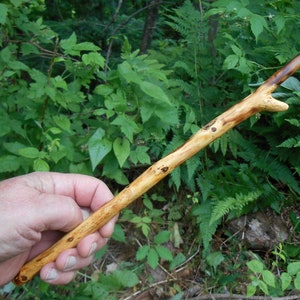 Wild Apple Wood Wand, Love Magic, Healing Wand, Handmade One at a Time ...
