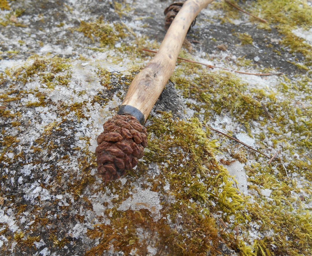 Curvy Pine Wood Pagan Wand With Pinecone, Purification Wand - Etsy