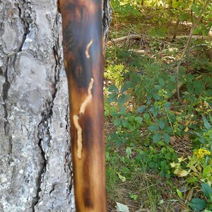 Walking Stick for Nature Hikes Burned Ash Wood Hiking Staff - Etsy