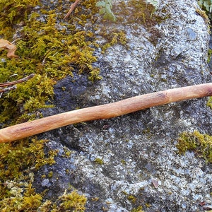 Wild Apple Wood Wand Love Magic Healing Wand - Etsy