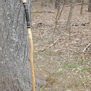 Hand Carved Walking Stick, Birch Wood Hiking Staff With Leather Wrap ...