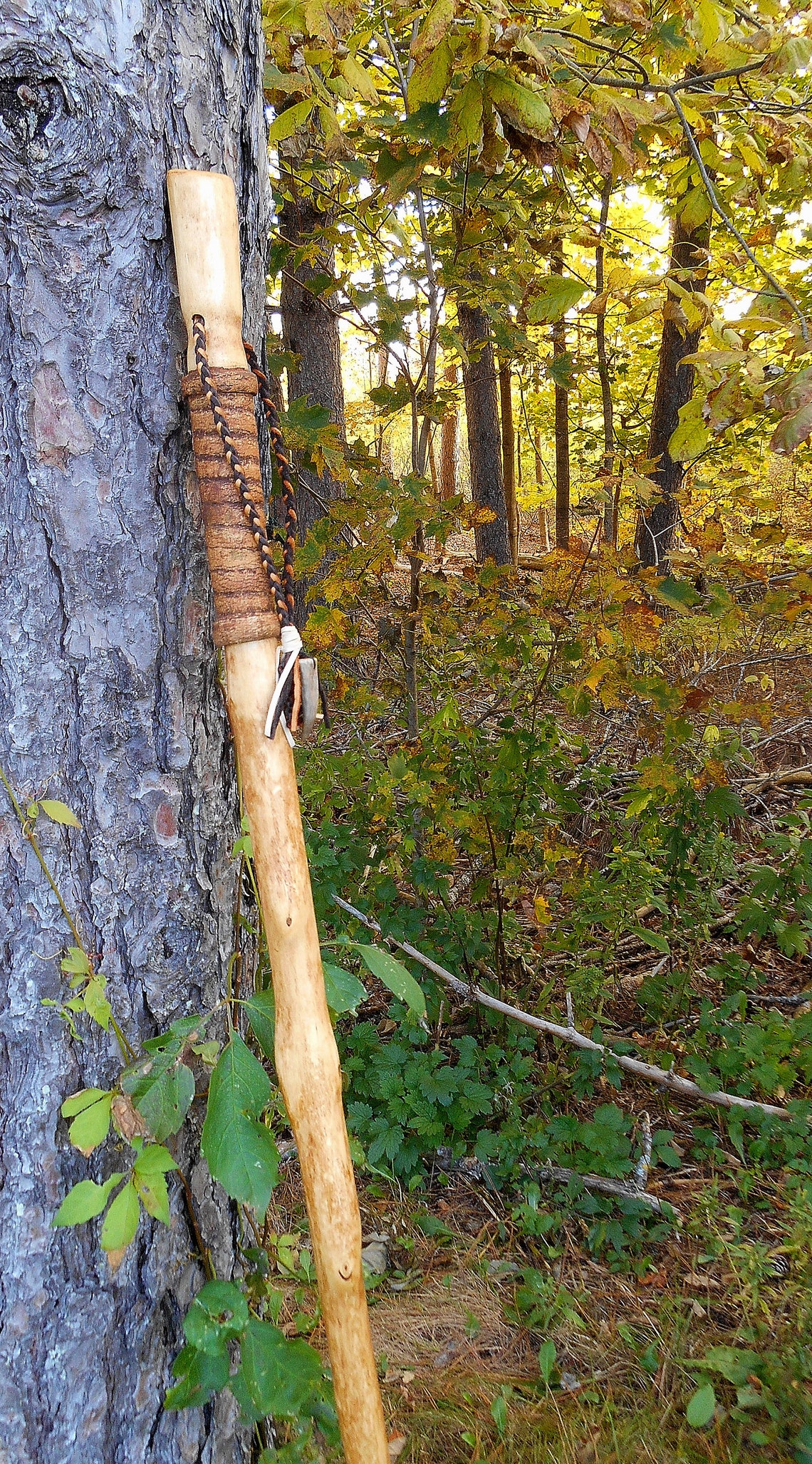 Tall Hiking Staff Maple Wood Walking Stick 61 Rugged - Etsy