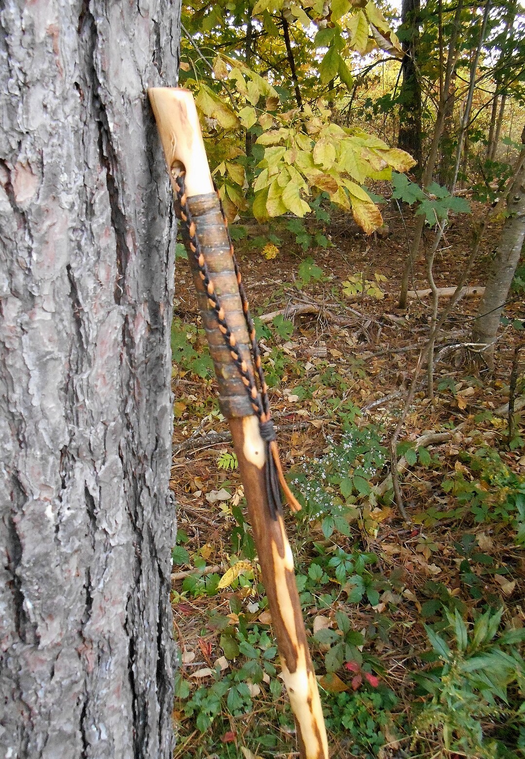 Walking Stick for Nature Hikes, 54 Maple Wood Staff - Etsy