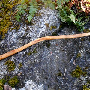 Wild Apple Wood Wand Love Magic Healing Wand - Etsy
