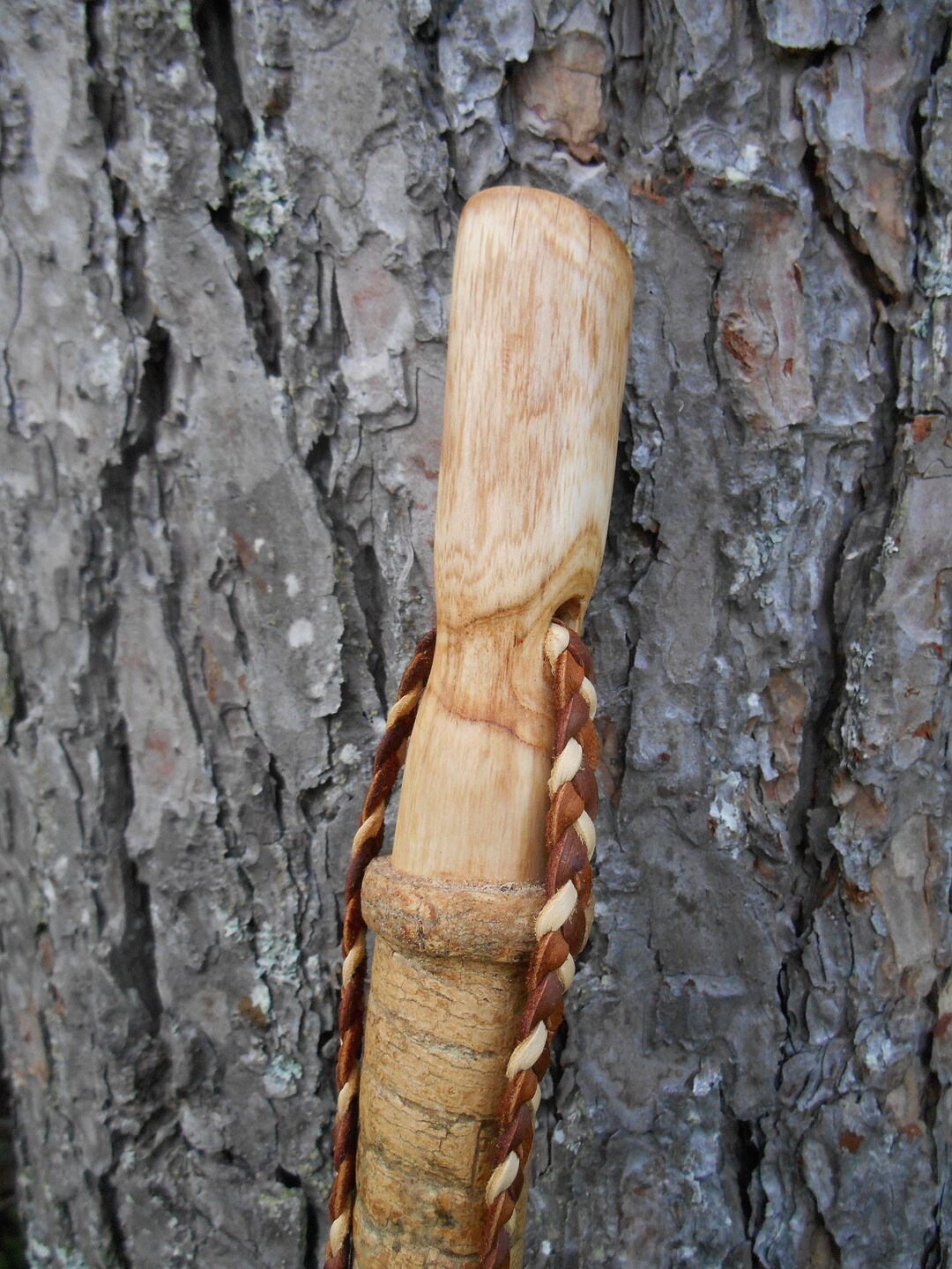 Ash Walking Stick, Tall Natural Wood Staff for Nature Hikes, Trail ...