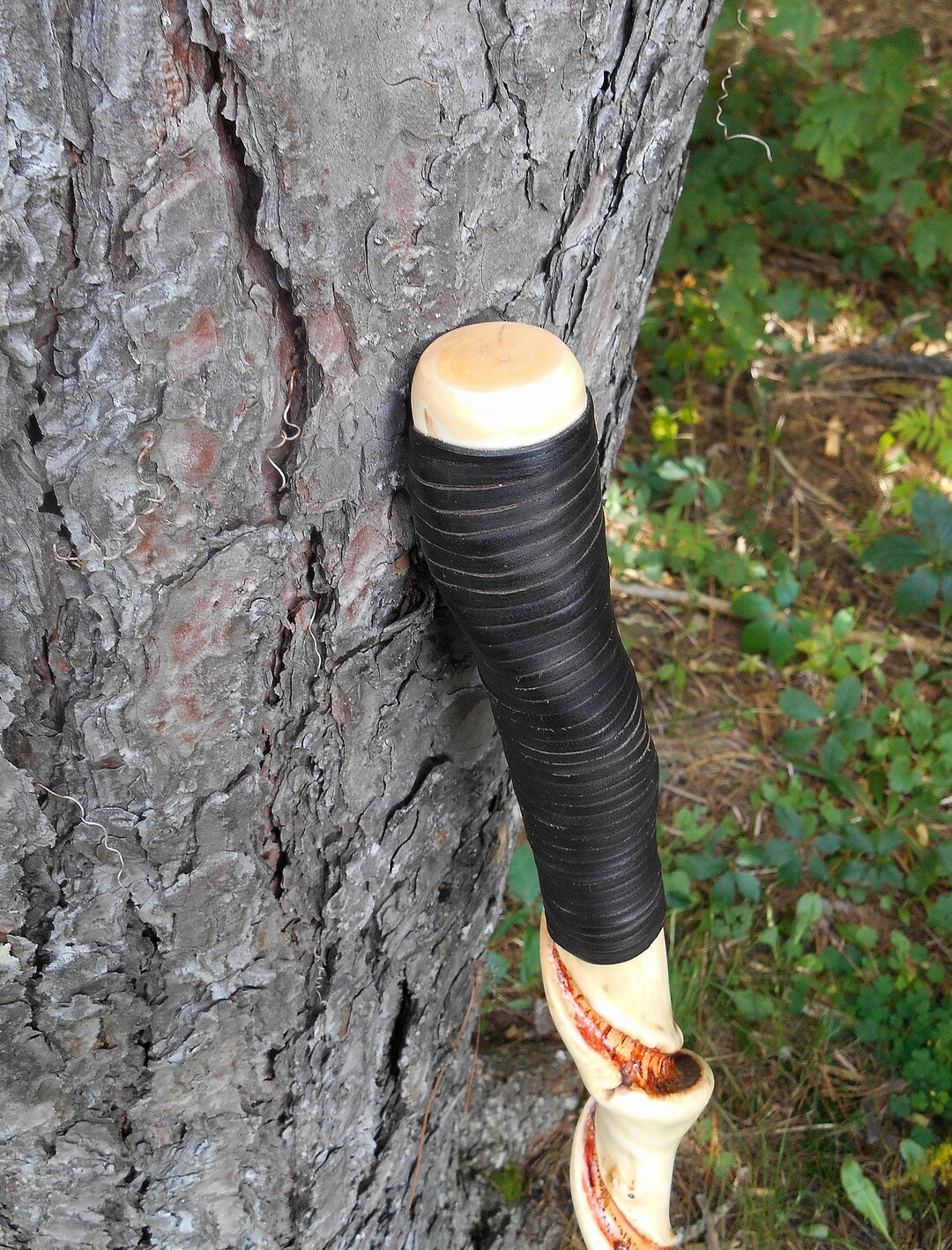 Vine Twisted Walking Stick, Maple Wood With Fine Finish and Leather ...
