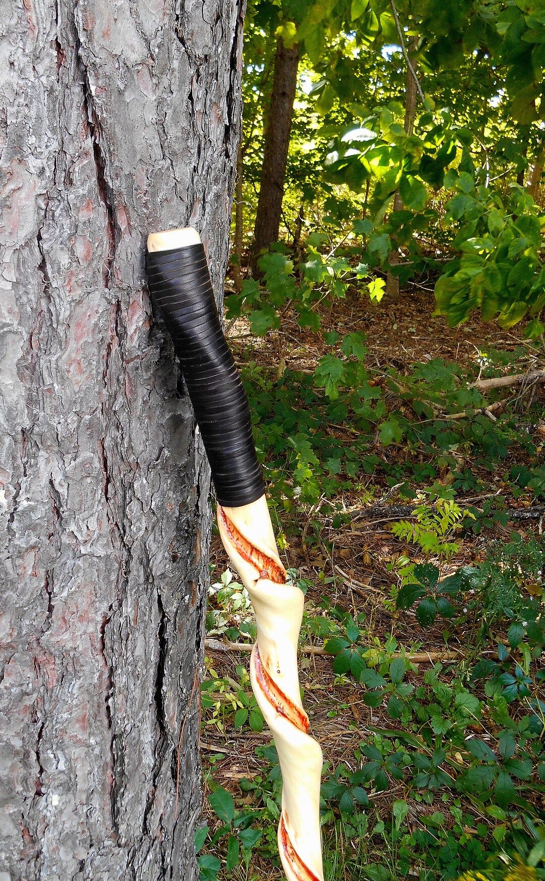 Handmade Vine Twisted Walking Stick, White Birch Wood With Fine Finish ...