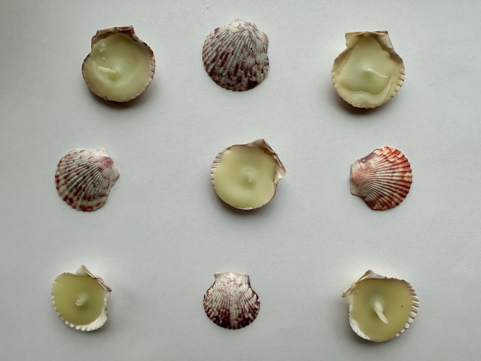 Seashell Candles (5 Pack) - Etsy