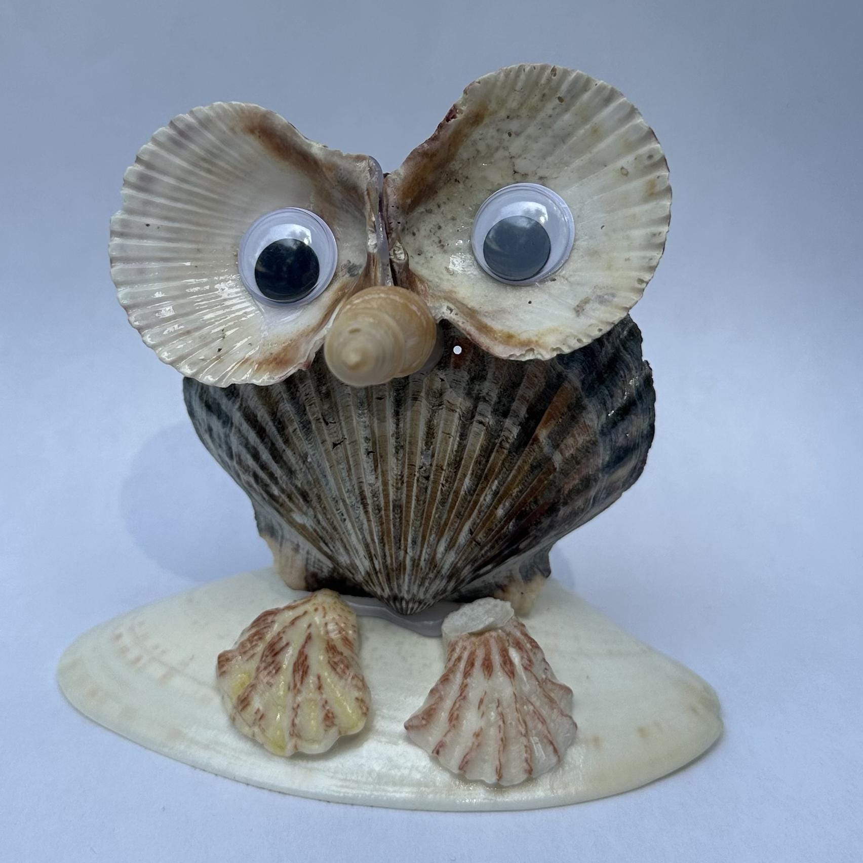 Giant Seashell Owl - Etsy