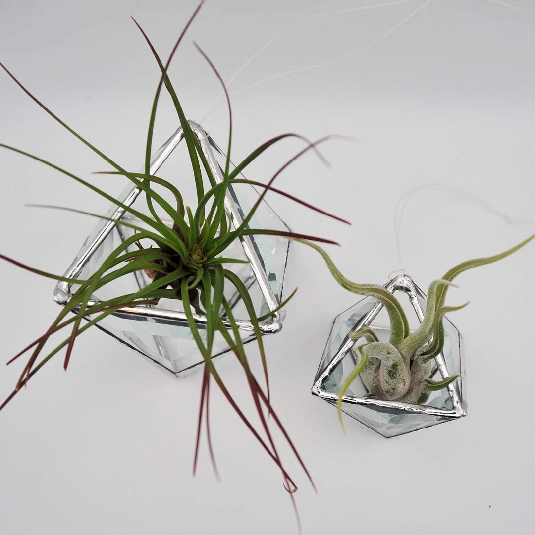 Pyramid Bevel Hanging Terrarium, Clear Faceted Stained Glass Prisms ...