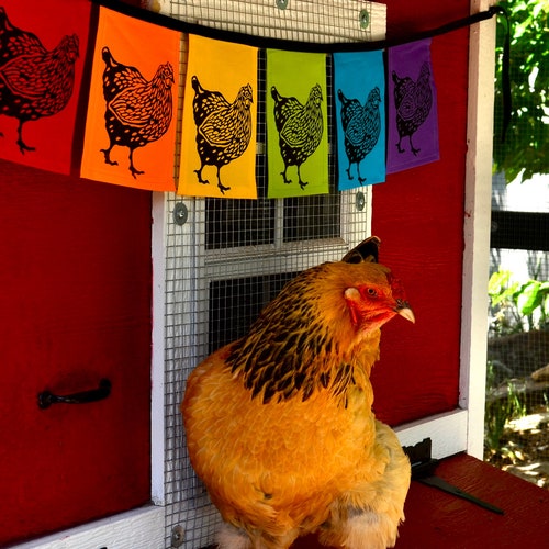 Hand Printed Rainbow Chicken Flags Chicken Banner Chicken - Etsy