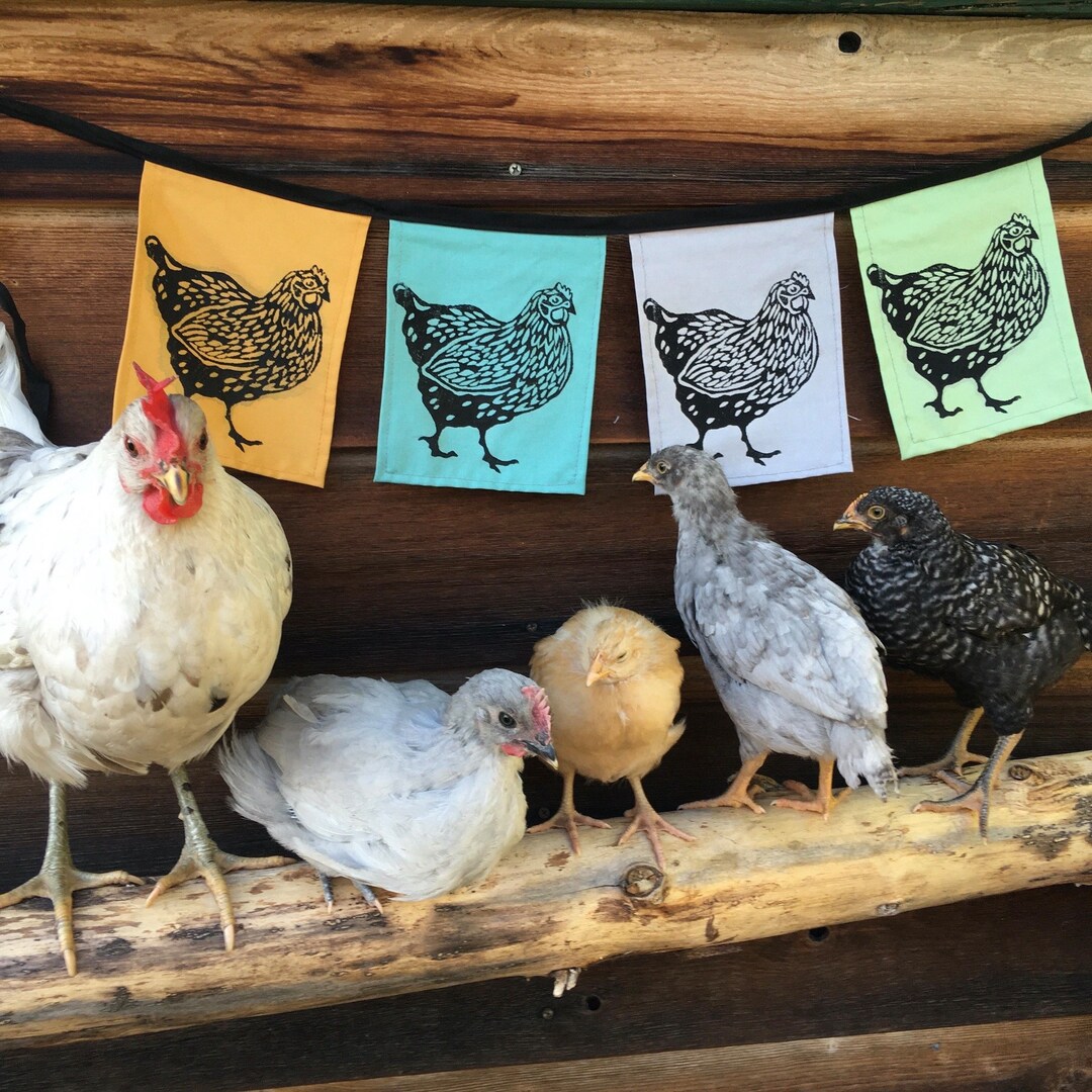 Chicken Flags - Garden Flags - Hand Printed Flags - Prayer Flags ...