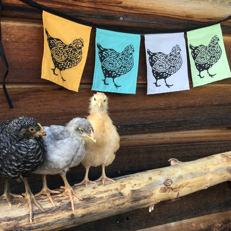 Banderas de pollo - Banderas de jardín - Banderas impresas a mano ...