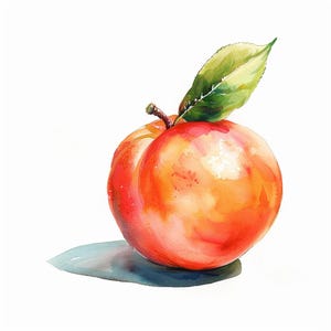 Watercolor Apple Clipart Set PNG Instant Download - Etsy