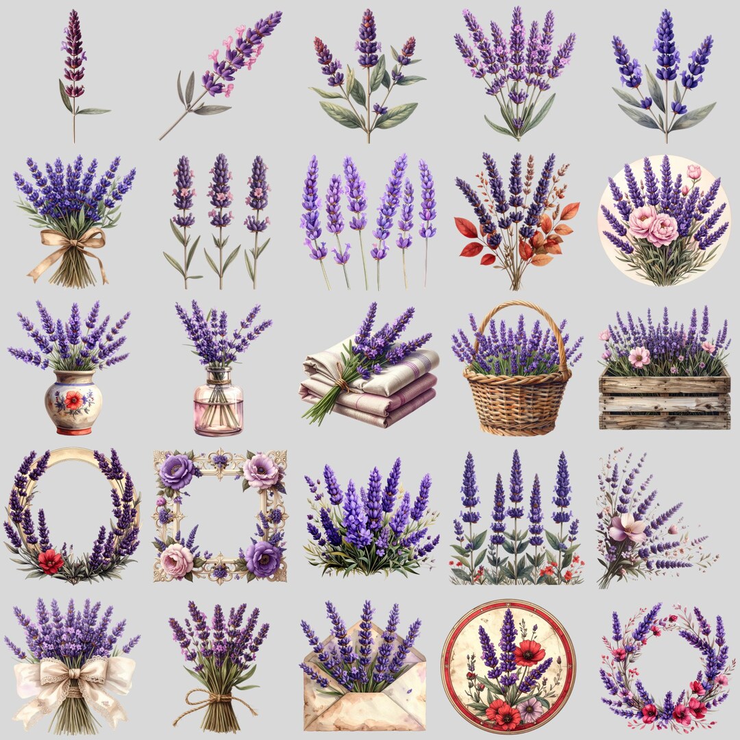 Vintage Lavender Floral Clipart: Purple Garden Flowers PNG Bundle ...