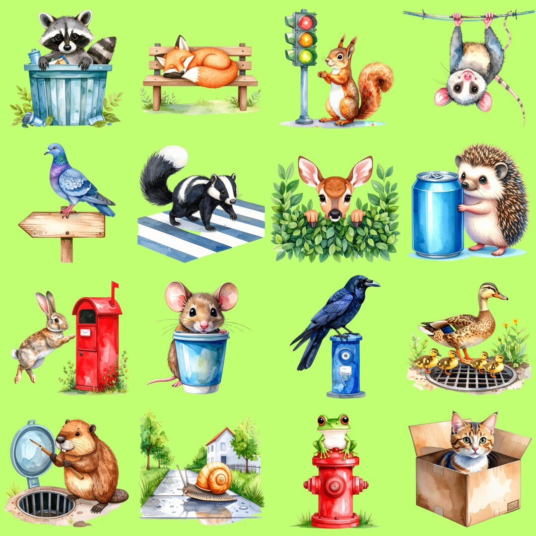 Urban Wildlife Watercolor Clipart | 16 City Animals PNG Pack | Perfect ...