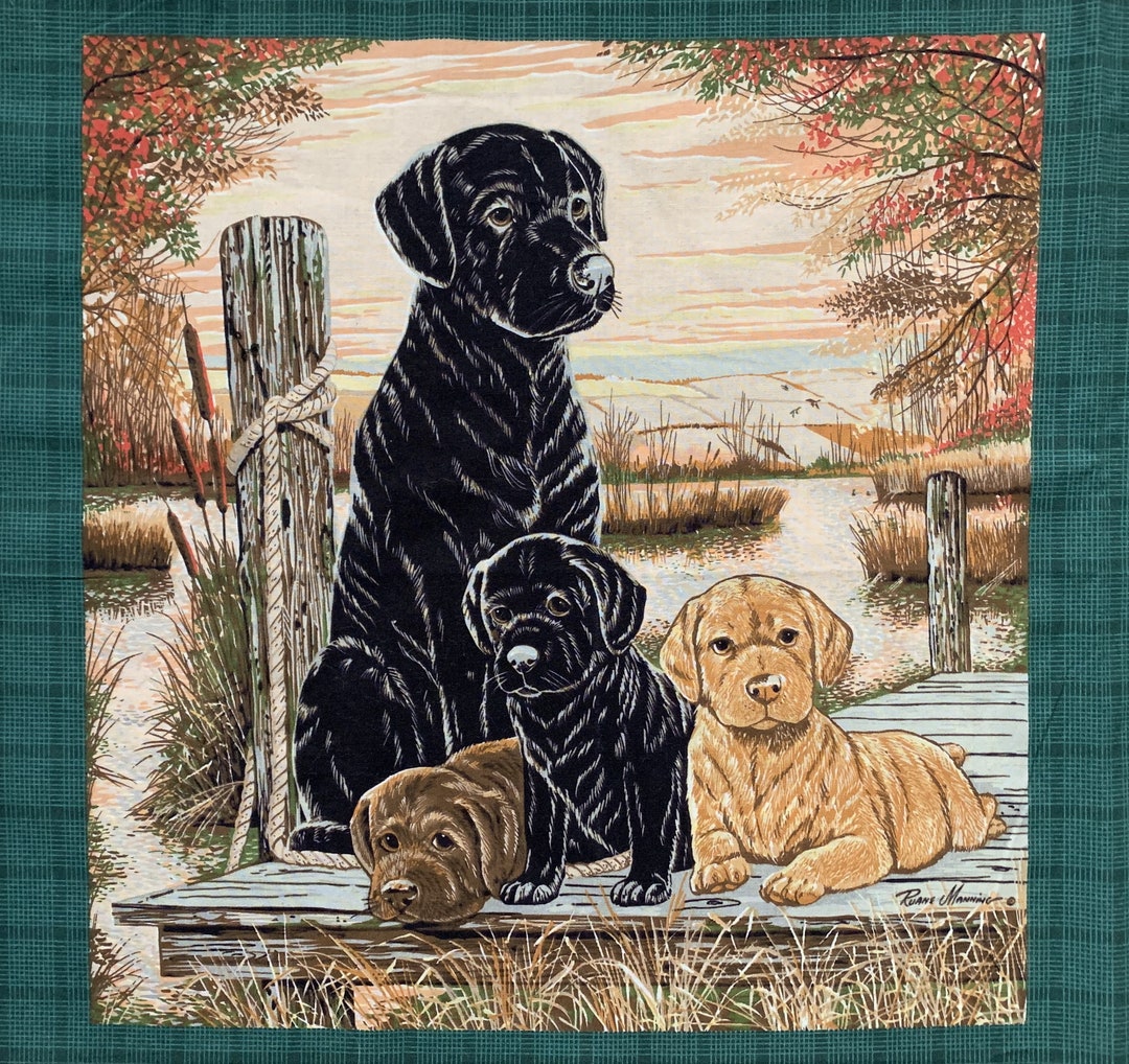 1 Vintage Pillow Panel All Cotton Fabric 21" Wide X 17" Tall AS IS ...