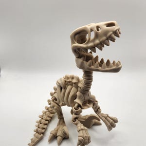 Flexi-raptor: High-quality 3D Printed Flexible Raptor Dinosaur - Etsy